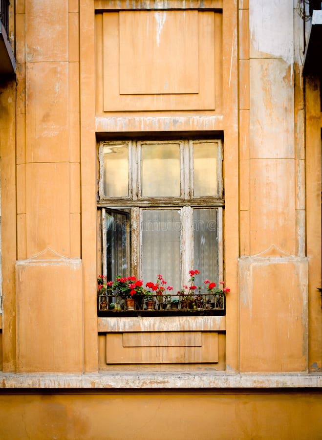 Old Wooden Windows Frame on Cement Cracked Wall Stock Photo - Image of ...