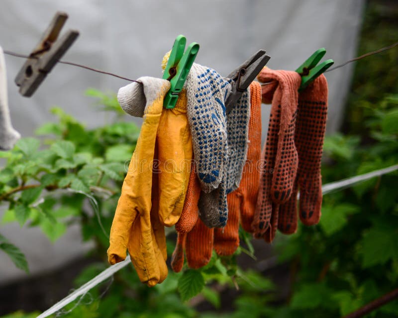 Old Work Gloves Were Washed and Hung To Dry on a Rope Stock Image ...