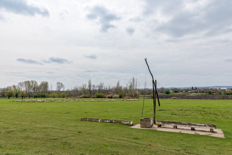 Old Working Sweep Well and a Flock of Sheep Stock Image - Image of ...