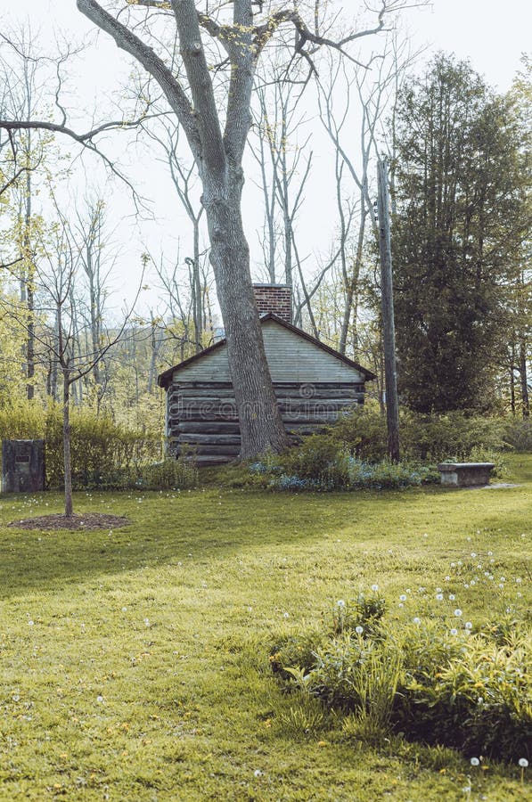 Old Worn Down Wooden House in a Forest Stock Photo - Image of ...