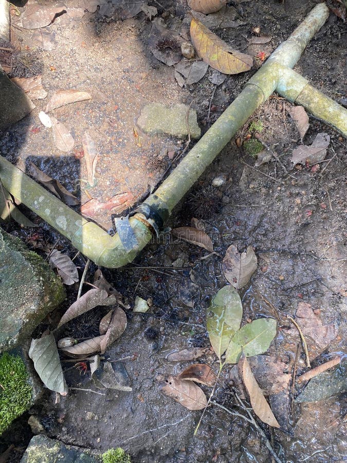 Old worn out pipe stock image. Image of tree, soil, animal - 377860535