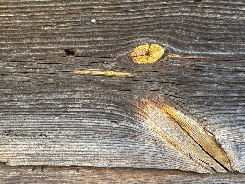 Old Worn Pine Log. a Knots with Yellowed Resin from Age. Stock Photo ...