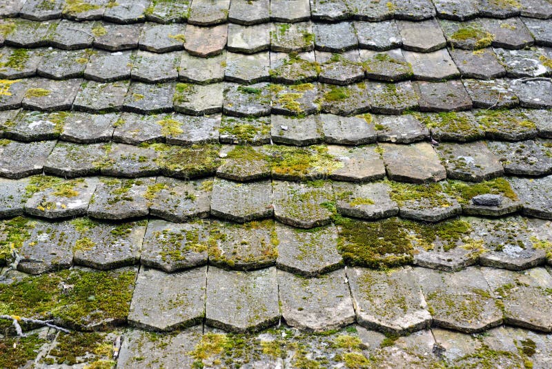 Old worn shingles stock photo. Image of textured, tiling - 28771140