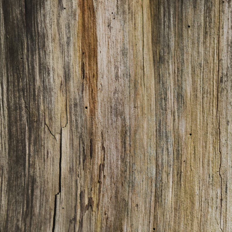 Old Worn Wood Texture Pattern Background Grey, Monochrome, Black and ...