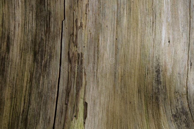 Old Worn Wood Texture Pattern Background Stock Photo - Image of ...