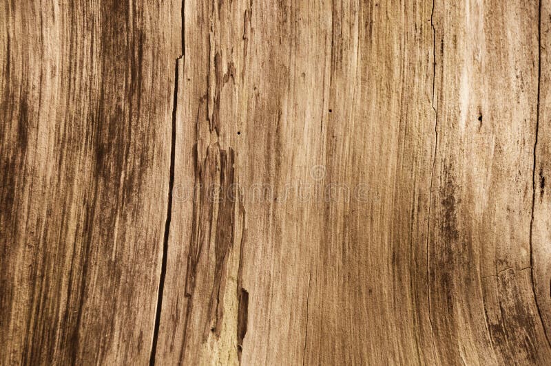 Old Worn Wood Texture Pattern Background Stock Photo - Image of nature ...
