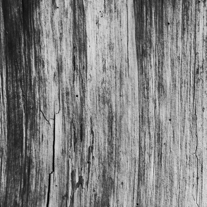 Old Worn Wood Texture Pattern Background Grey, Monochrome, Black and ...