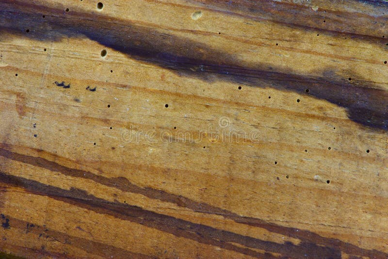 Old worn wood texture stock photo. Image of wooden, backdrop - 200726472