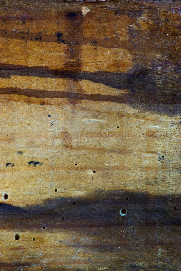 Old worn wood texture stock image. Image of background - 200726505
