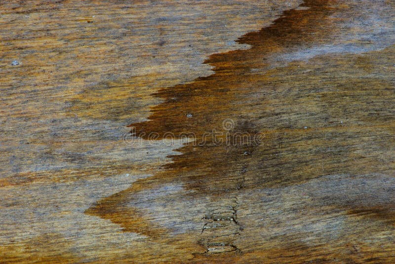 Wood texture with ribs stock image. Image of grain, abstract - 142980419