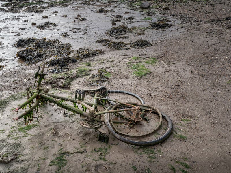 Wrecked Bicycle Stock Photos - Free & Royalty-Free Stock Photos from ...