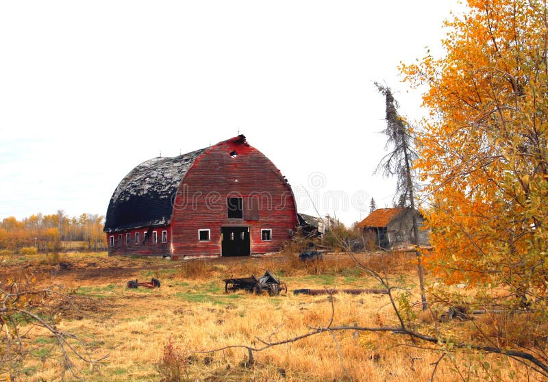 Old Wrecks stock photo. Image of horses, fall, country - 3428086