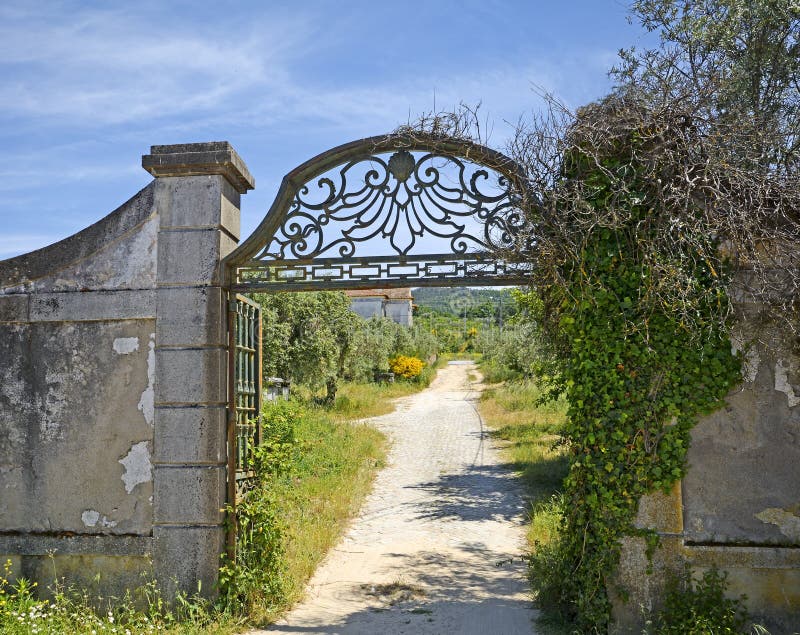 Old wrought iron gate stock photo. Image of texture, rustic - 41352912