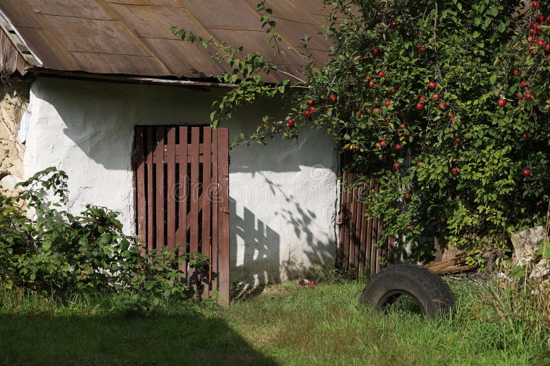 Old Yard and Storeroom in the Village Stock Image - Image of vintage ...