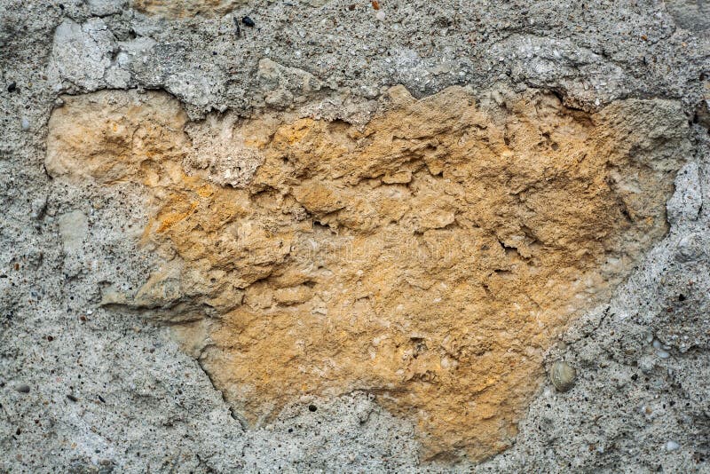 Yellow Shell Stone in Grey Cement Texture Stock Photo - Image of ...