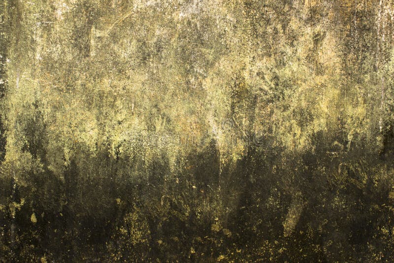 577 Texture Concrete Wall Yellow Mold Stock Photos - Free & Royalty ...
