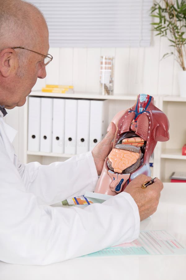 Older Doctor with Experience Explain the Human Body. Stock Image ...