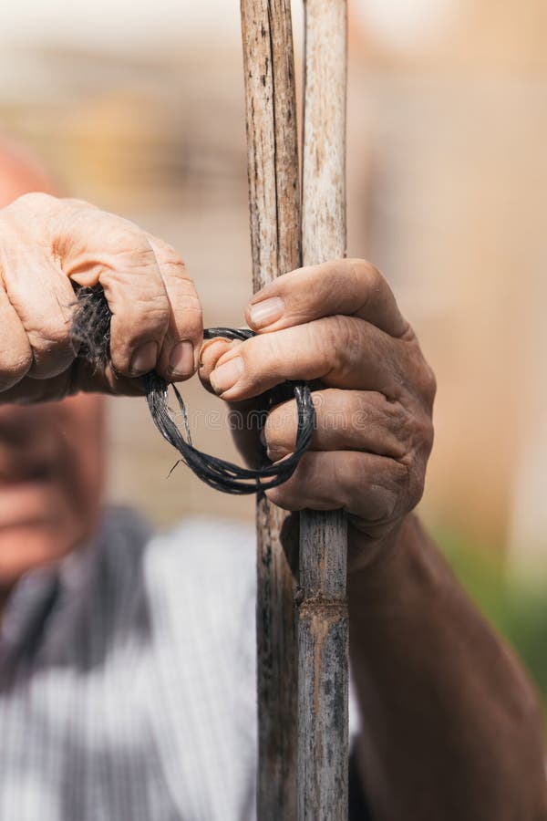 Older Man S Hands at Work, Selective Focus on Work Being Done Stock ...