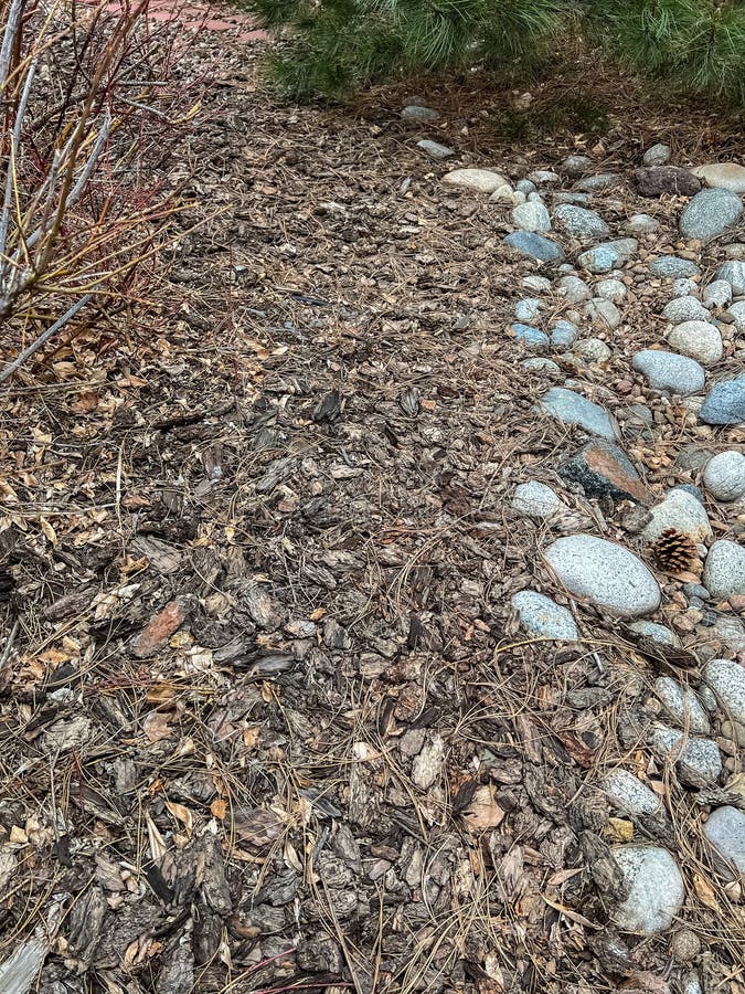 Outdated Residential Landscape with Mulch and Rocks Stock Photo - Image ...