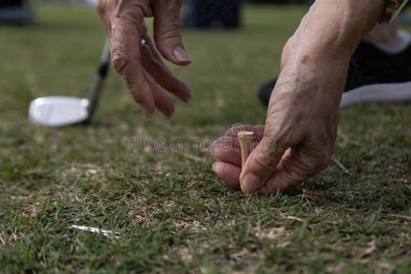 Close Up of Woman S Hand Teeing Off on Golf Course Stock Image - Image ...