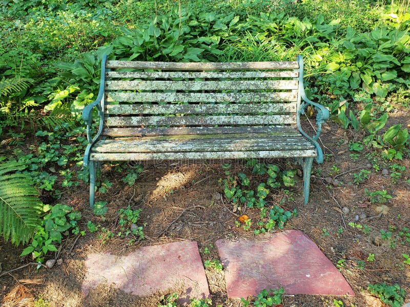 Old Park Bench Covered with Lichen Stock Photo - Image of used, hosta ...
