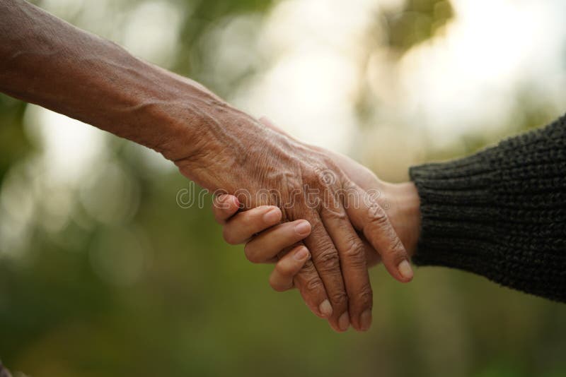 Oldman and hands stock photo. Image of hands, green - 178471146