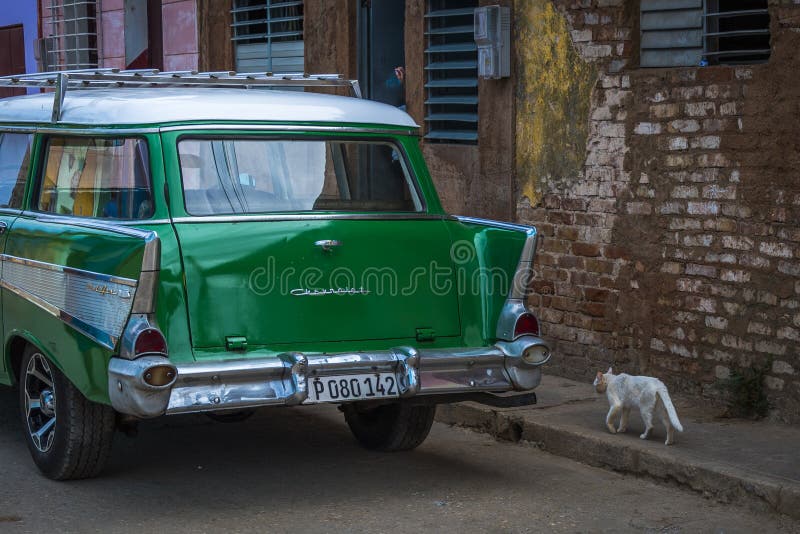Cat Limousine Stock Photos - Free & Royalty-Free Stock Photos from ...