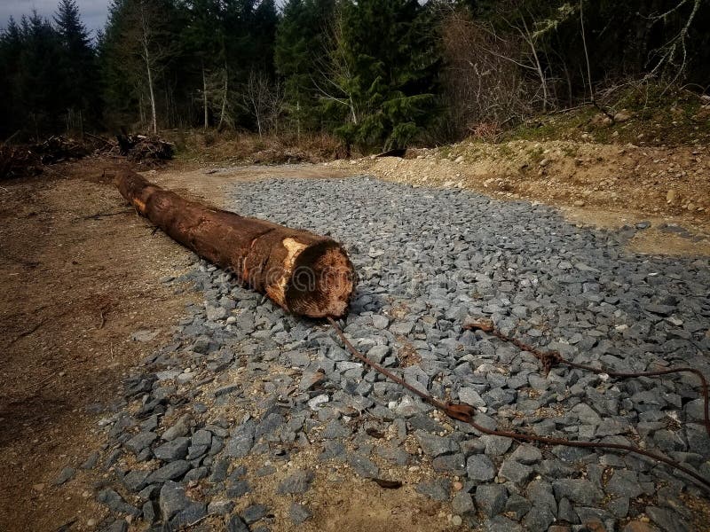 Log Chain Trail Stock Photos - Free & Royalty-Free Stock Photos from ...