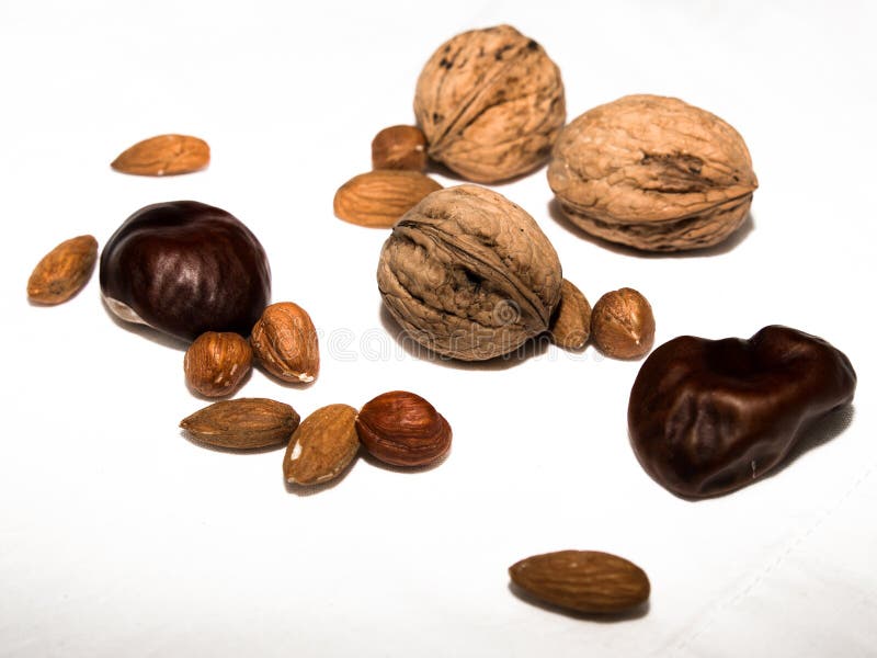 274 Oleaginous Stock Photos - Free & Royalty-Free Stock Photos from ...