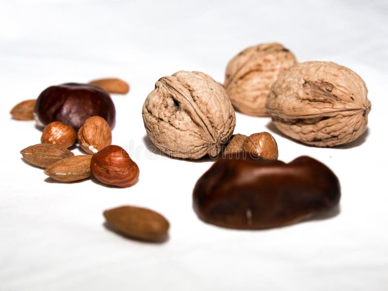 274 Oleaginous Stock Photos - Free & Royalty-Free Stock Photos from ...