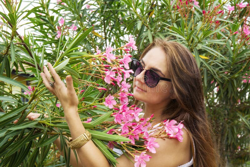 Oleander Flowers in the Garden Stock Image - Image of evergreen, nerium ...