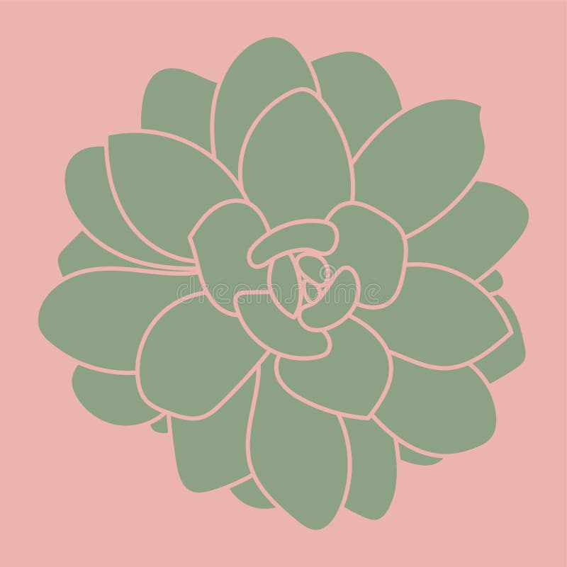 Hand Drawn Succulent Plant. Pattern. Doodle Sketch Vector Illustration ...