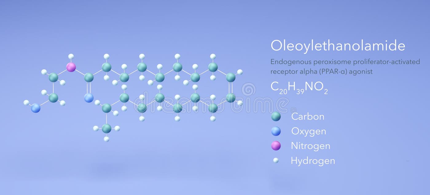 Oleoylethanolamide Molecule Stock Illustrations – 25 Oleoylethanolamide ...