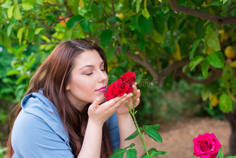 Oler las rosas imagen de archivo. Imagen de granjero - 55250613