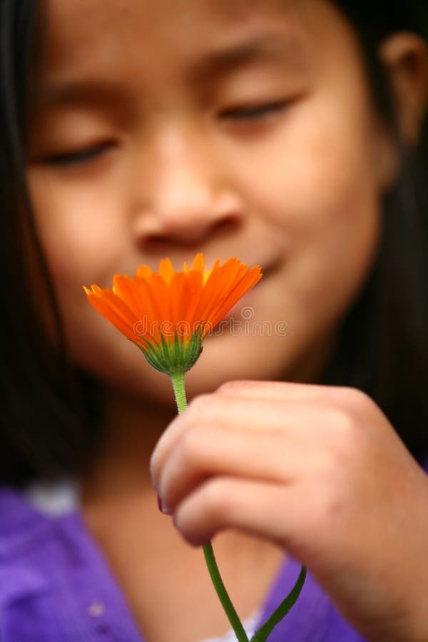 Oler una flor foto de archivo. Imagen de cabritos, cabrito - 20238718