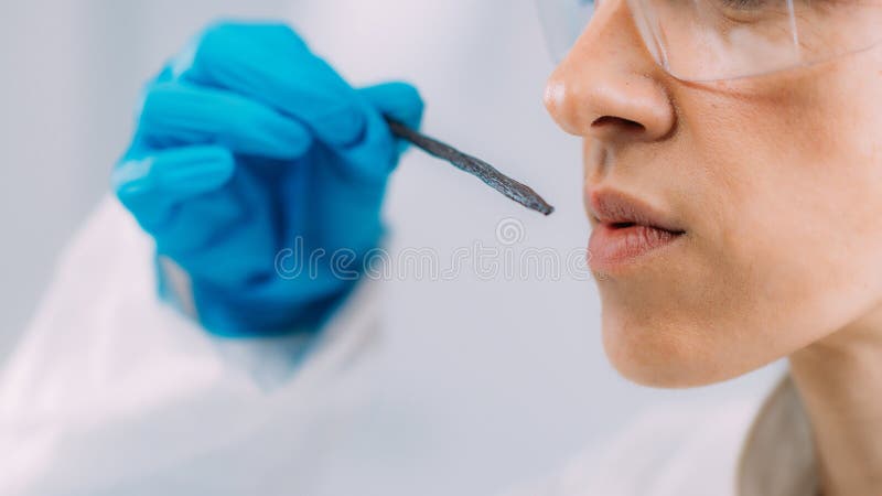 Olfactory Test in the Lab. Female Scientists Smelling a Sample in the ...