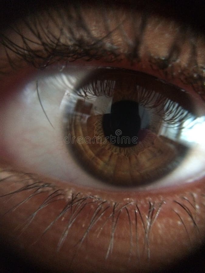 Olho stock photo. Image of claro, olho, macro, castanho - 54088100