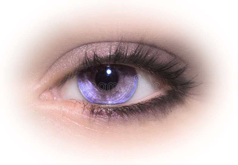 Olho foto de stock. Imagem de foco, roxo, cuidado, olhar - 8759908