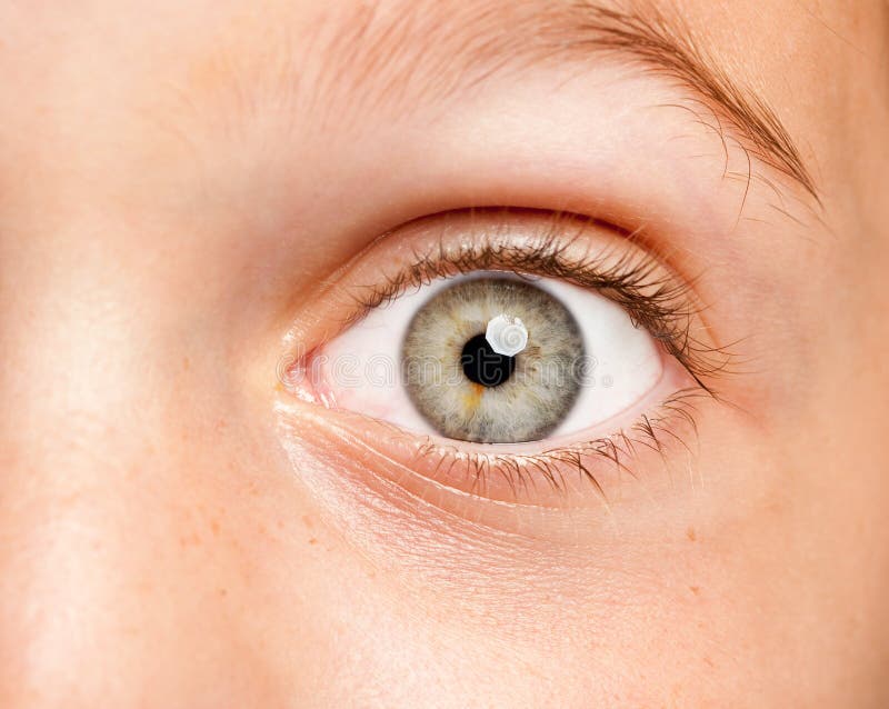 Abra o olho cinzento foto de stock. Imagem de aberto, closeup - 3508916