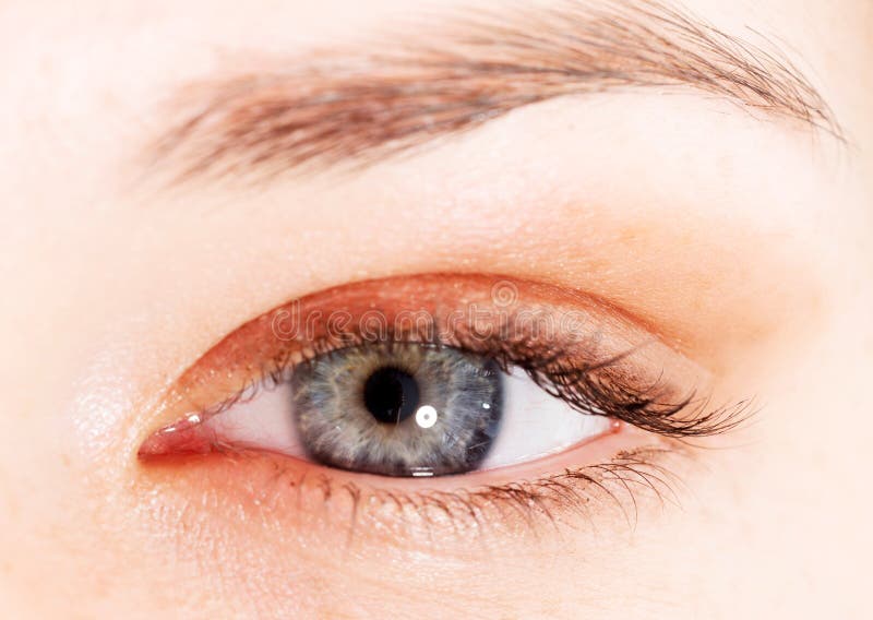 Olho humano foto de stock. Imagem de feminina, optometria - 33498426