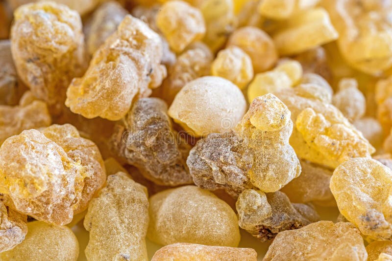 Oliban, Serrata De Boswellia Photo stock - Image du maladie ...