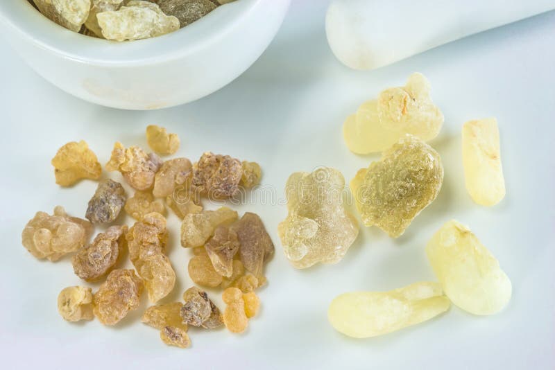 Olibano, Serrata Di Boswellia Immagine Stock - Immagine di medicina ...