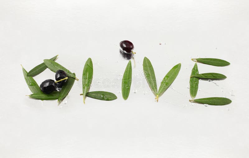 Olijf En Olijfbrieven Met Weg Stock Afbeelding - Image of bladeren ...