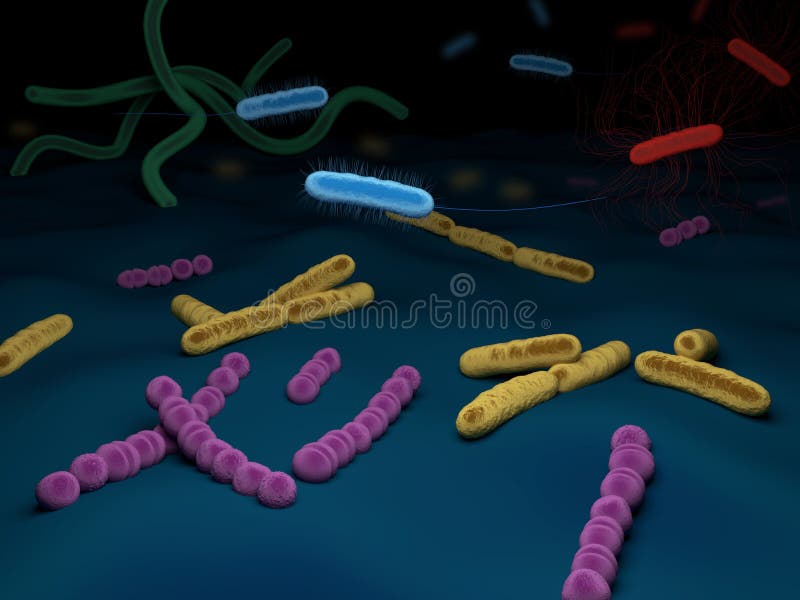 Olika typer av bakterier stock illustrationer. Illustration av ...