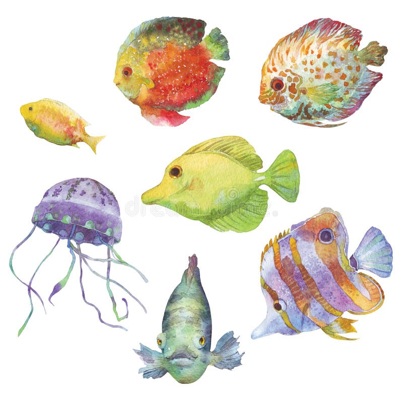 Olika Typer Av Fisk- Och Manetillustrationen Stock Illustrationer ...