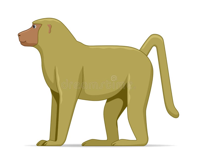 Olive Baboon - Vector Illustration Sketch Hand Drawn with Black Stock ...