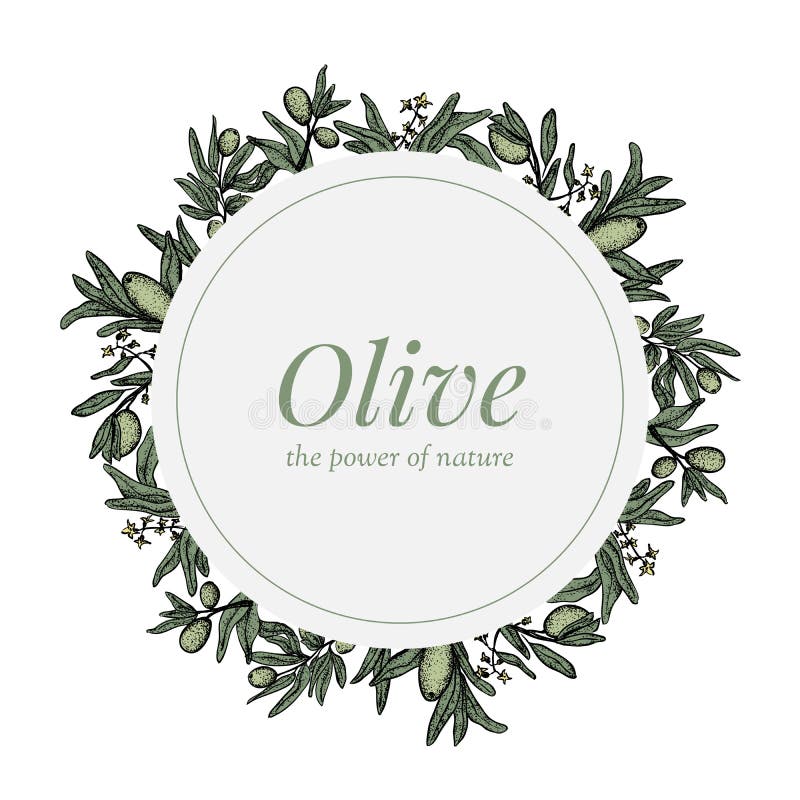 Olive Badge Design with Text Stock Vector - Illustration of decorative ...