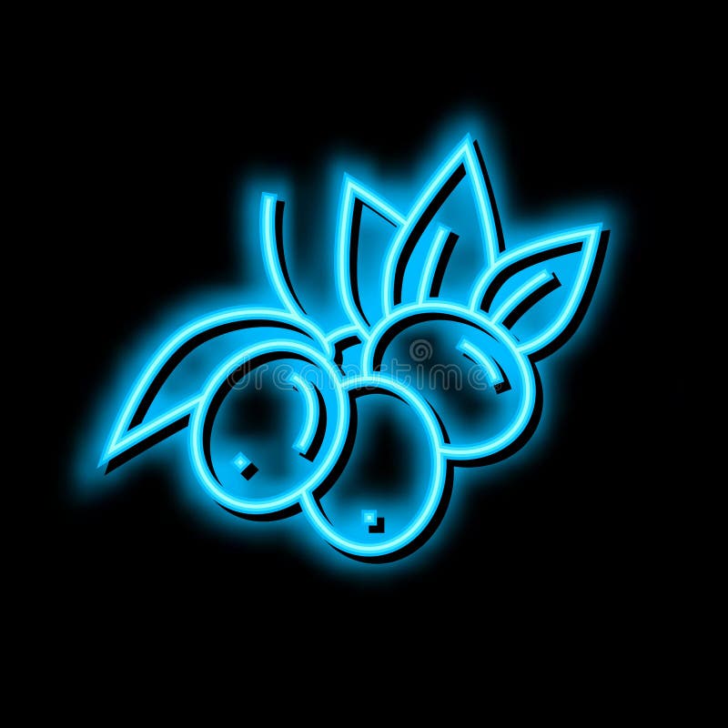 Olive Berries Neon Glow Icon Illustration Stock Vector - Illustration ...