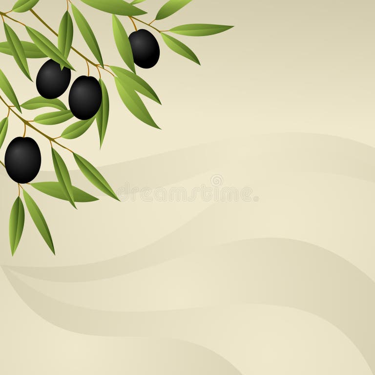 Realistic Olive Branch Stock Illustrations – 3,499 Realistic Olive ...