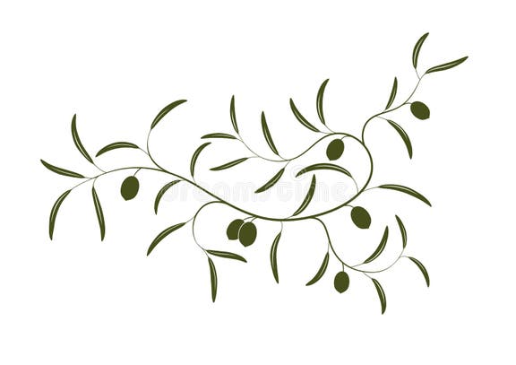 Greek Olive Branch Stock Illustrations – 15,272 Greek Olive Branch ...